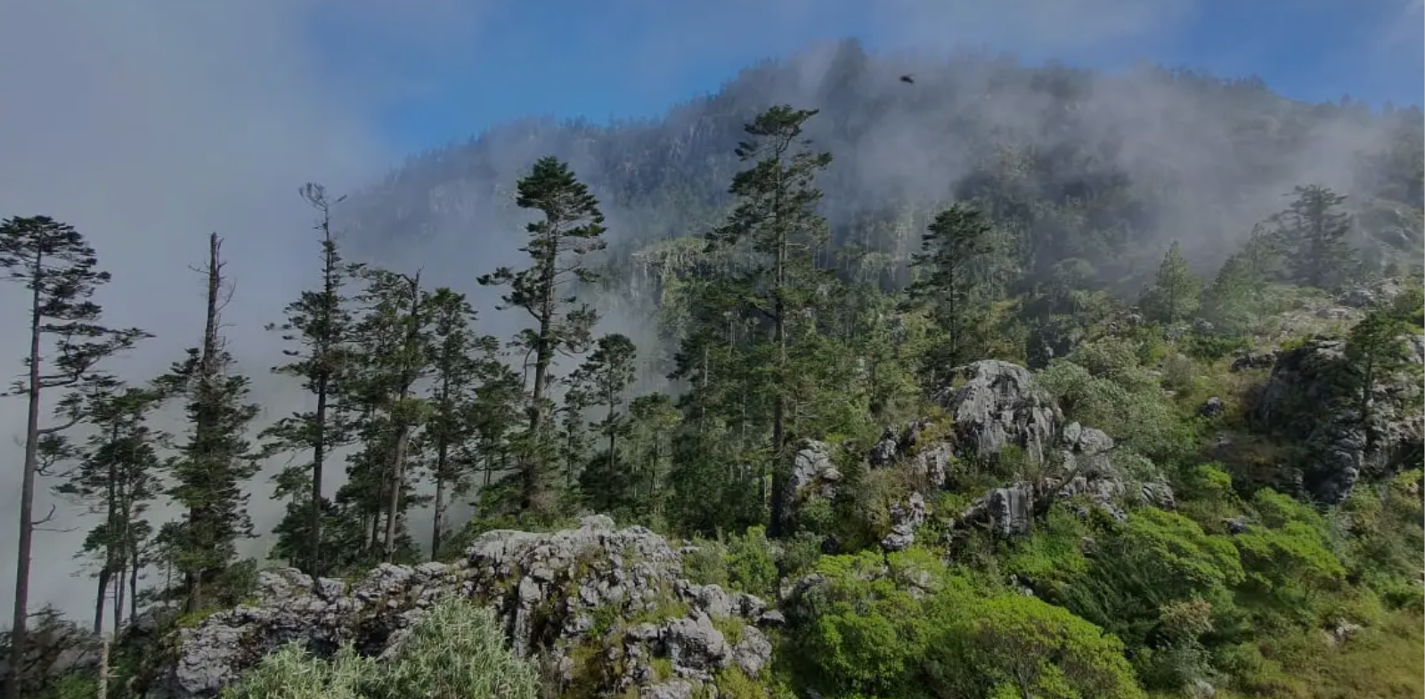 Inicio - Reserva Natural EL Vergel